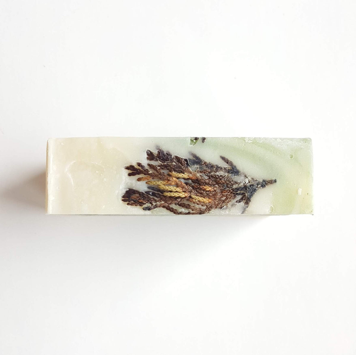 Cedar Soap – Sequoia Proudly Indigenous